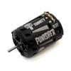 Trinity Punisher Spec Class Sensored Brushless Motor (13.5T) — Team EAM ...